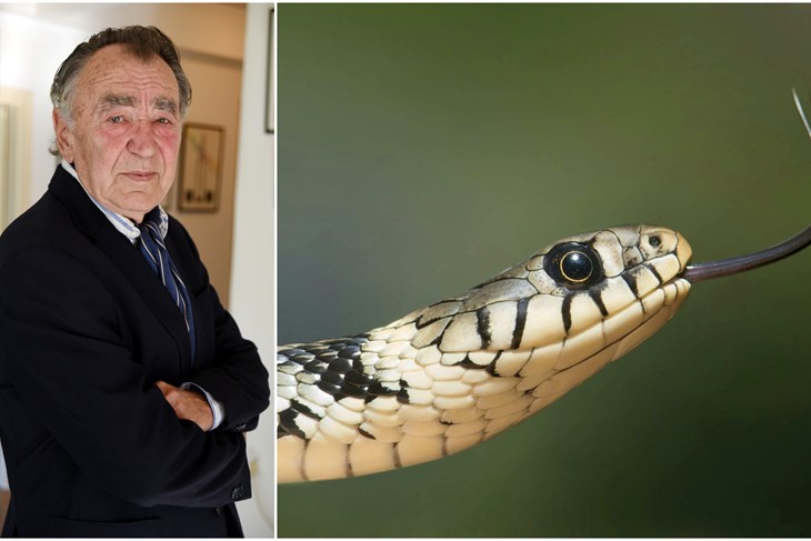Iskonski naturalizam i humanistična ekologija - Glas Istre