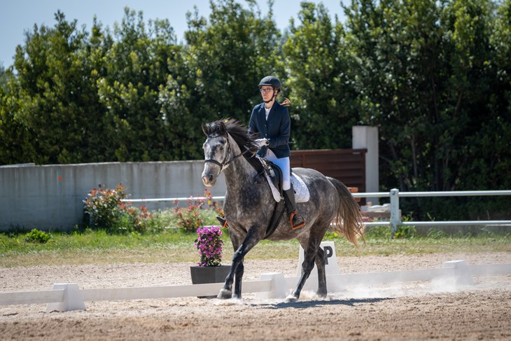 Konjički sport u Puli i Medulinu: Županijsko prvenstvo i Istra Cup uz ...